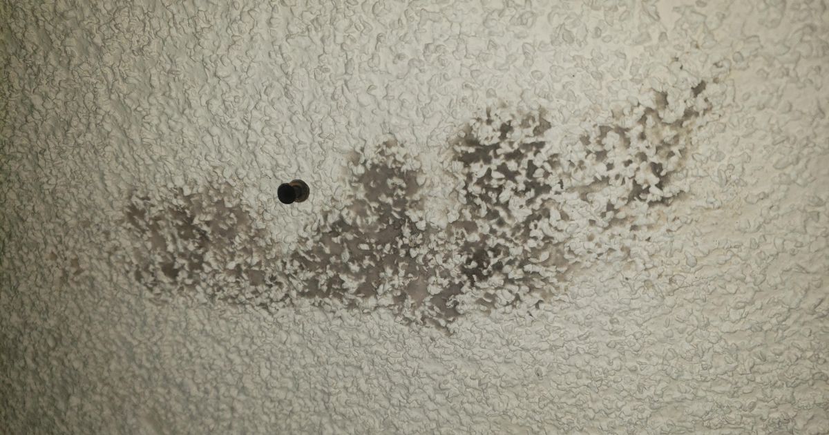 How To Remove Mold From Popcorn Ceiling: Definitive Guide | MR